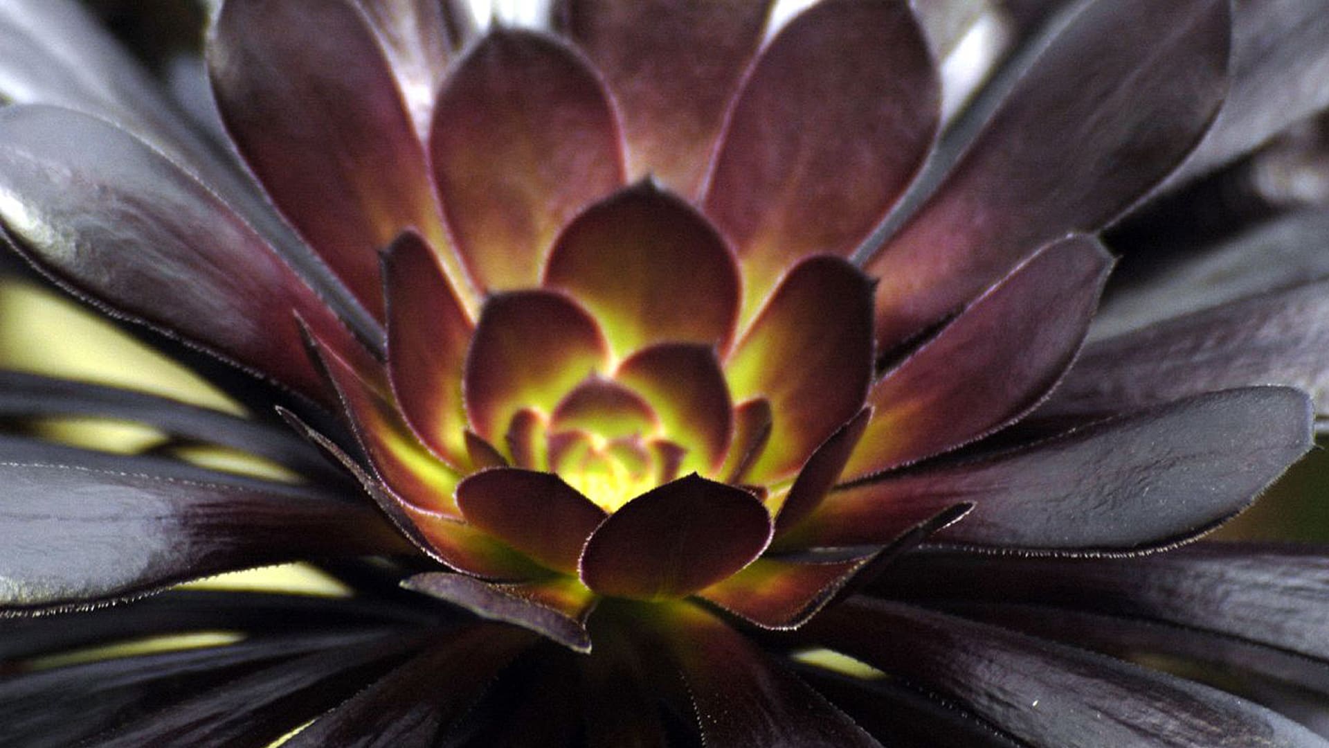 An Ex-BP Employee On How To Change The System From Within - Fast Company