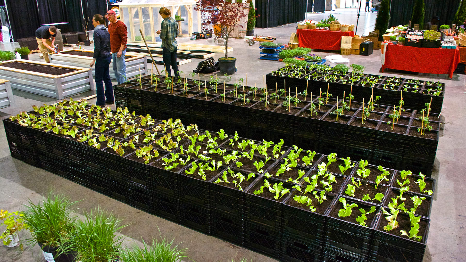 This Modular Urban Farm To Pop Up On Vacant Lots, And Then Move On ...