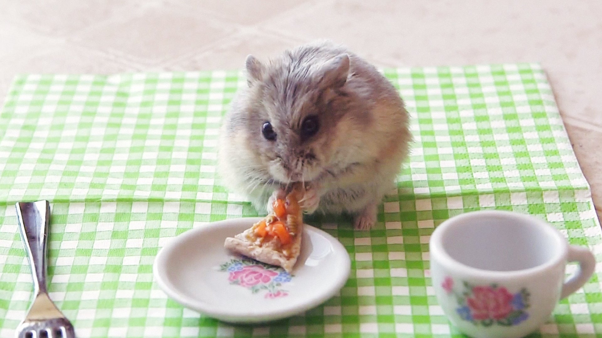 The Inevitable Sequel To "Tiny Hamsters Eating Tiny Burritos" Has ...
