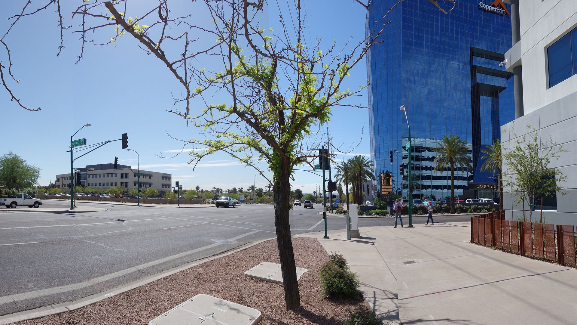 Phoenix Is Pulling Off An Urban Miracle: Transforming Into A Walkable ...