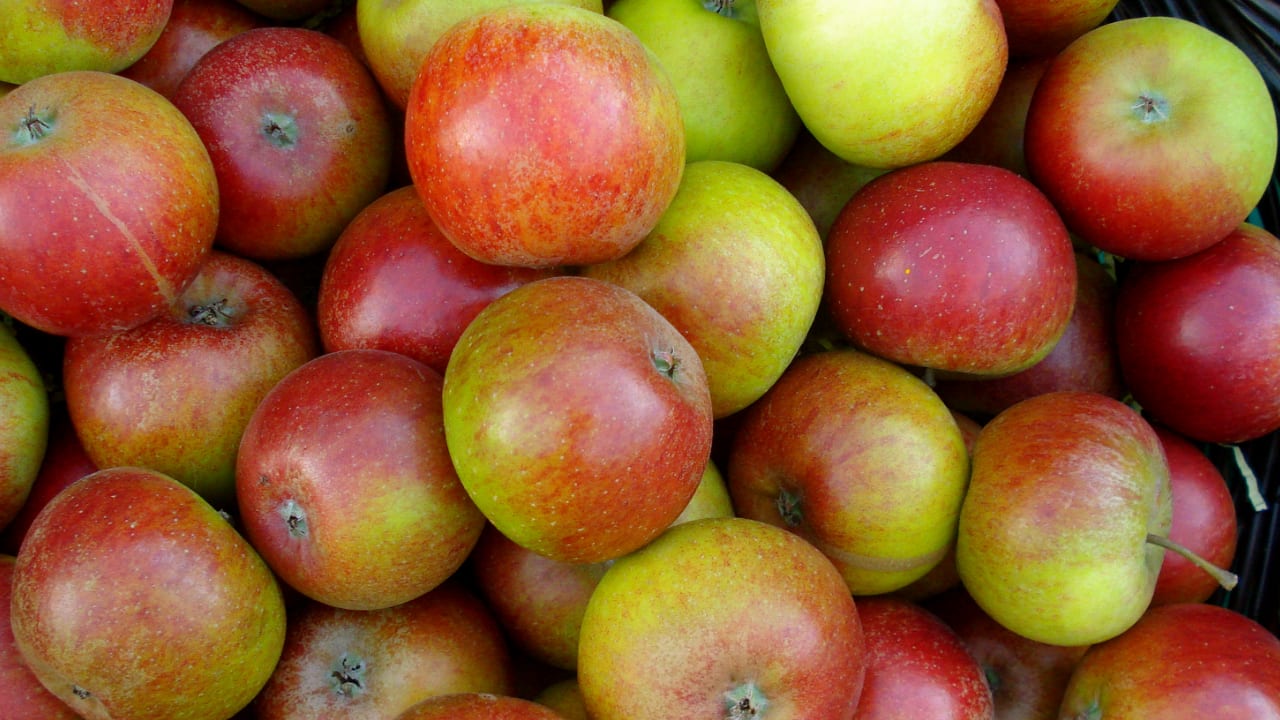 Want A Piece Of Apple History? Buy These Original Cupertino Signs At ...