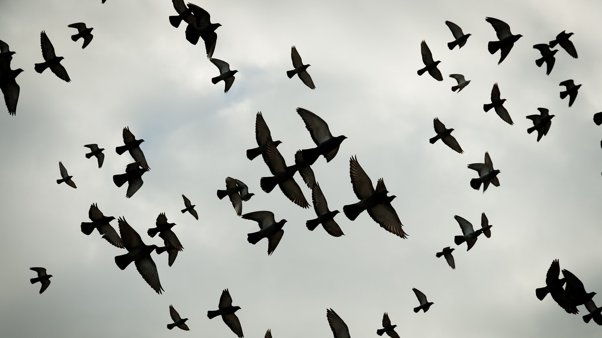 A Reverse Search Engine For Images That Could Tell You What You're ...