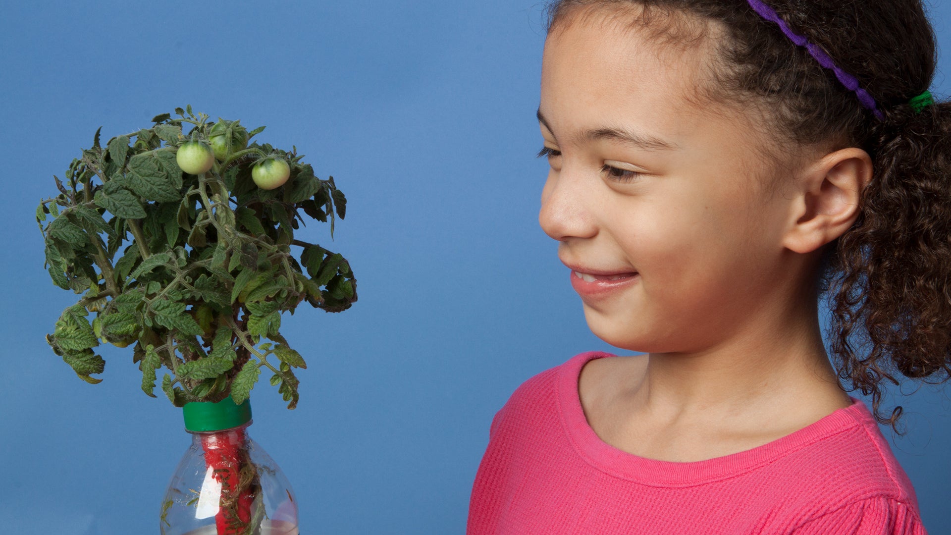This Redesigned Cap Turns Any Water Bottle Into A Vegetable Garden ...