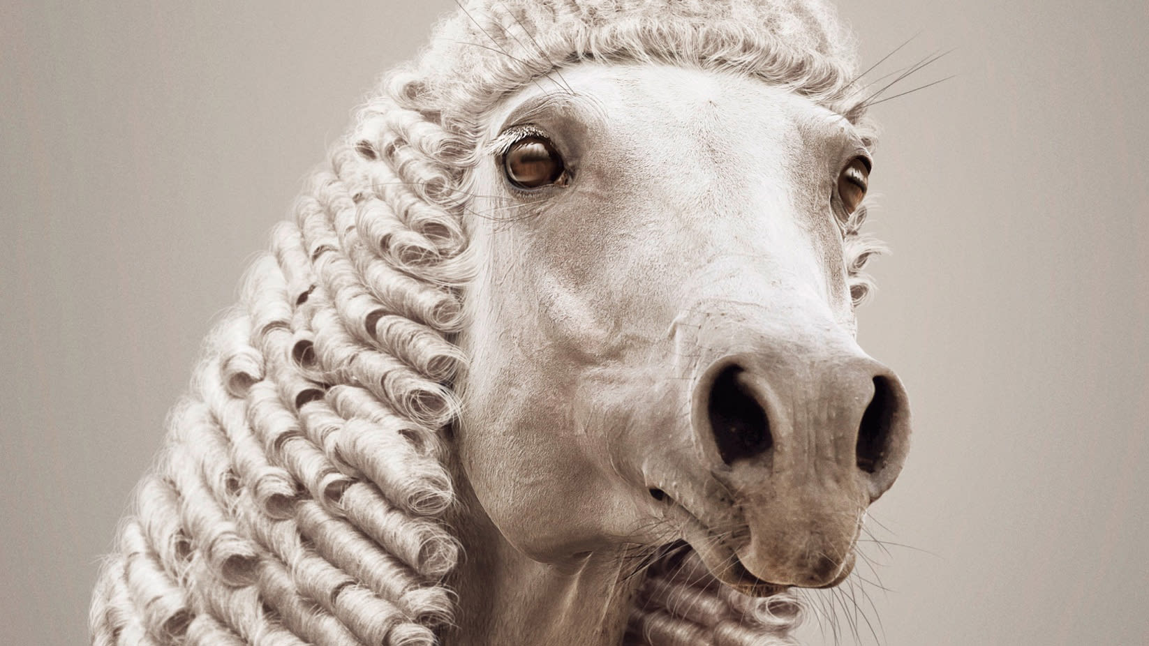 These Be-Wigged Animals Are Ready To Judge You - Fast Company