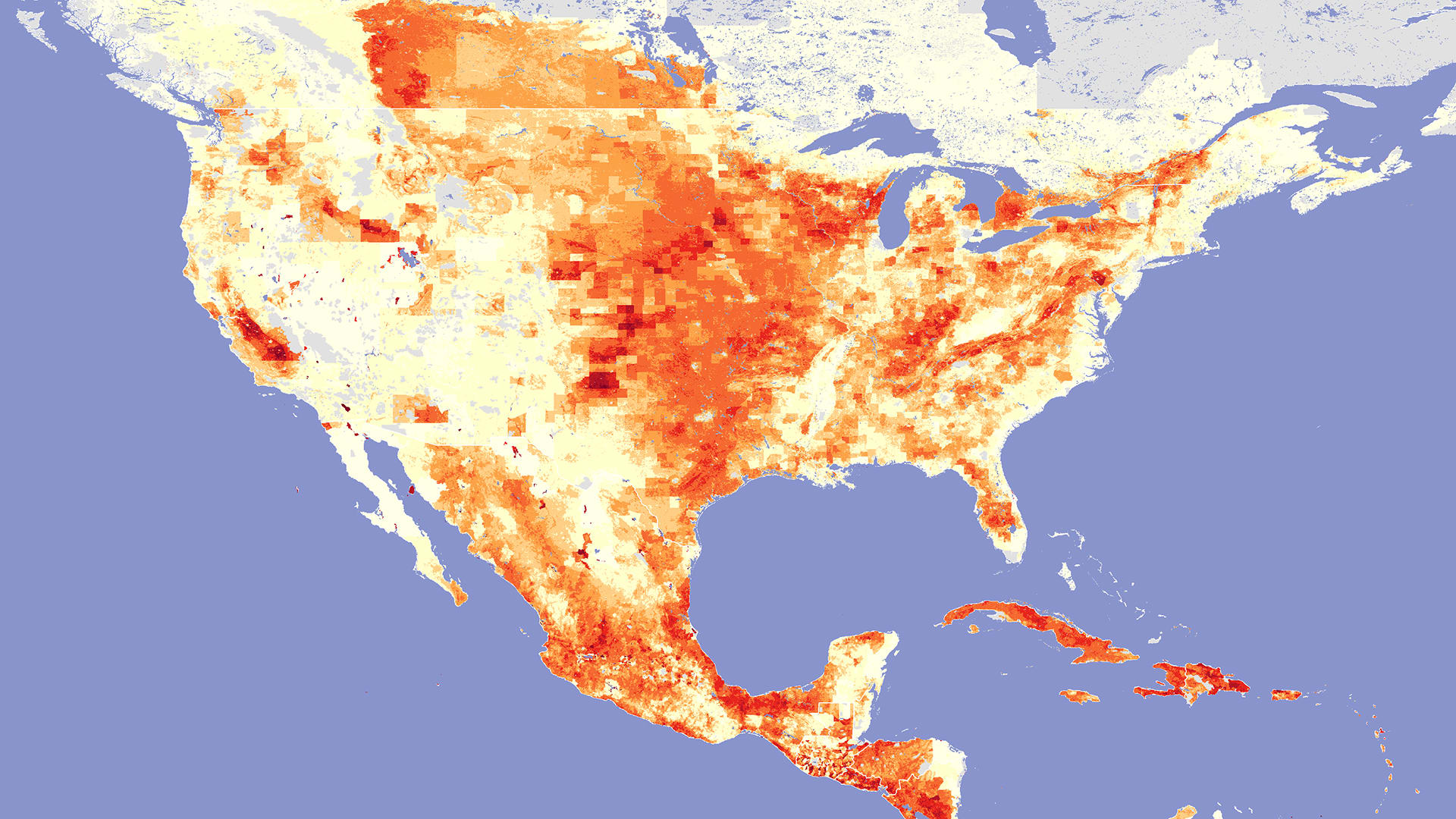 A Massive Global Map Of Where All The Cattle, Pigs, And Other Livestock ...