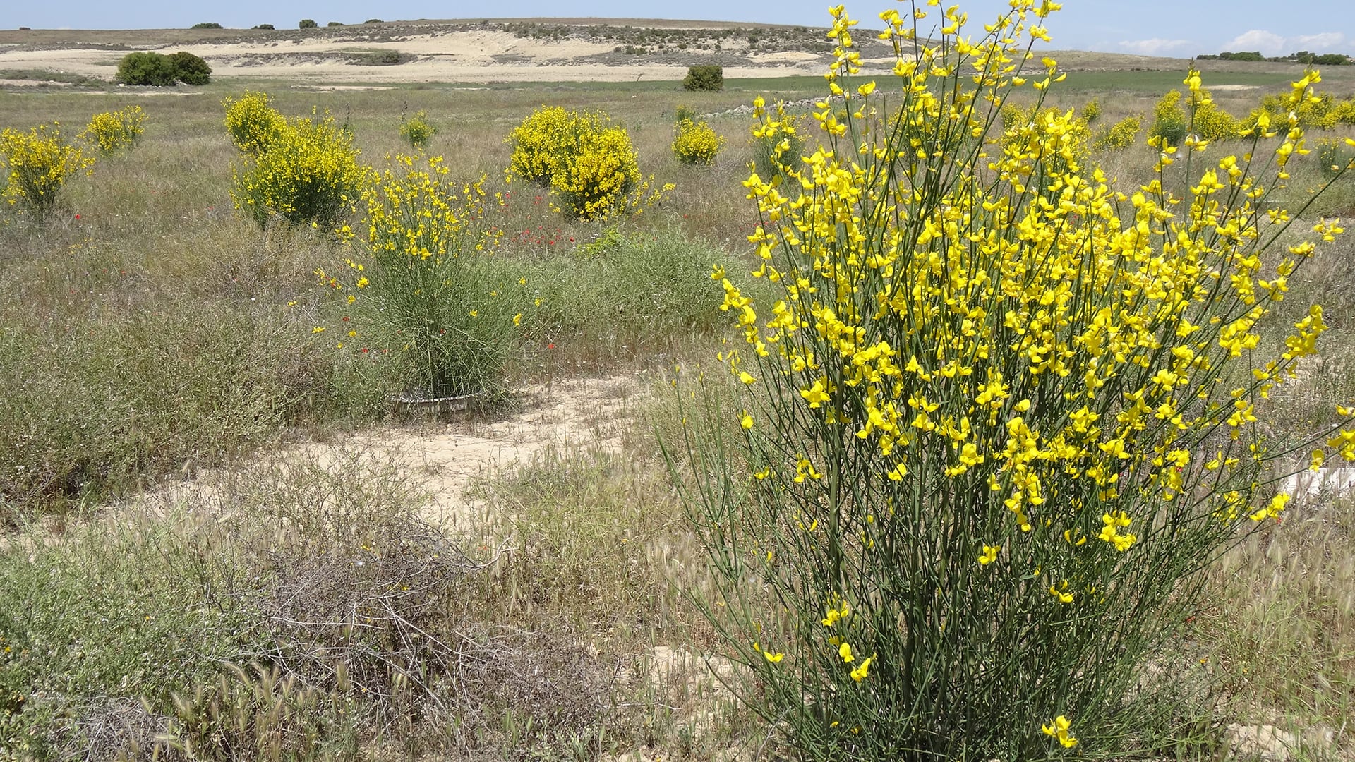 These Dew-Harvesting Boxes Stave Off The World's Expanding Deserts ...