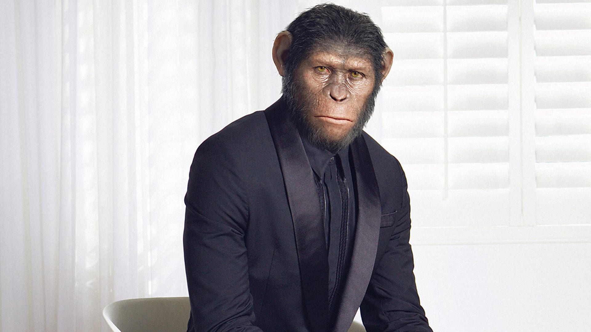 Chimp Chic: "Planet of the Apes" Ringleader Caesar Models High-End ...