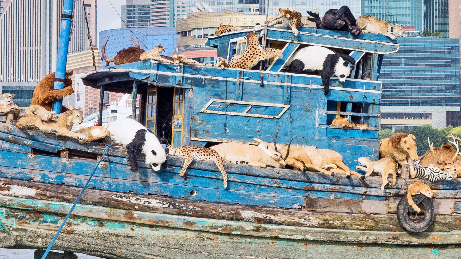 A Noah's Ark Of 99 Seasick Animals Highlights Humanity's Treatment of ...