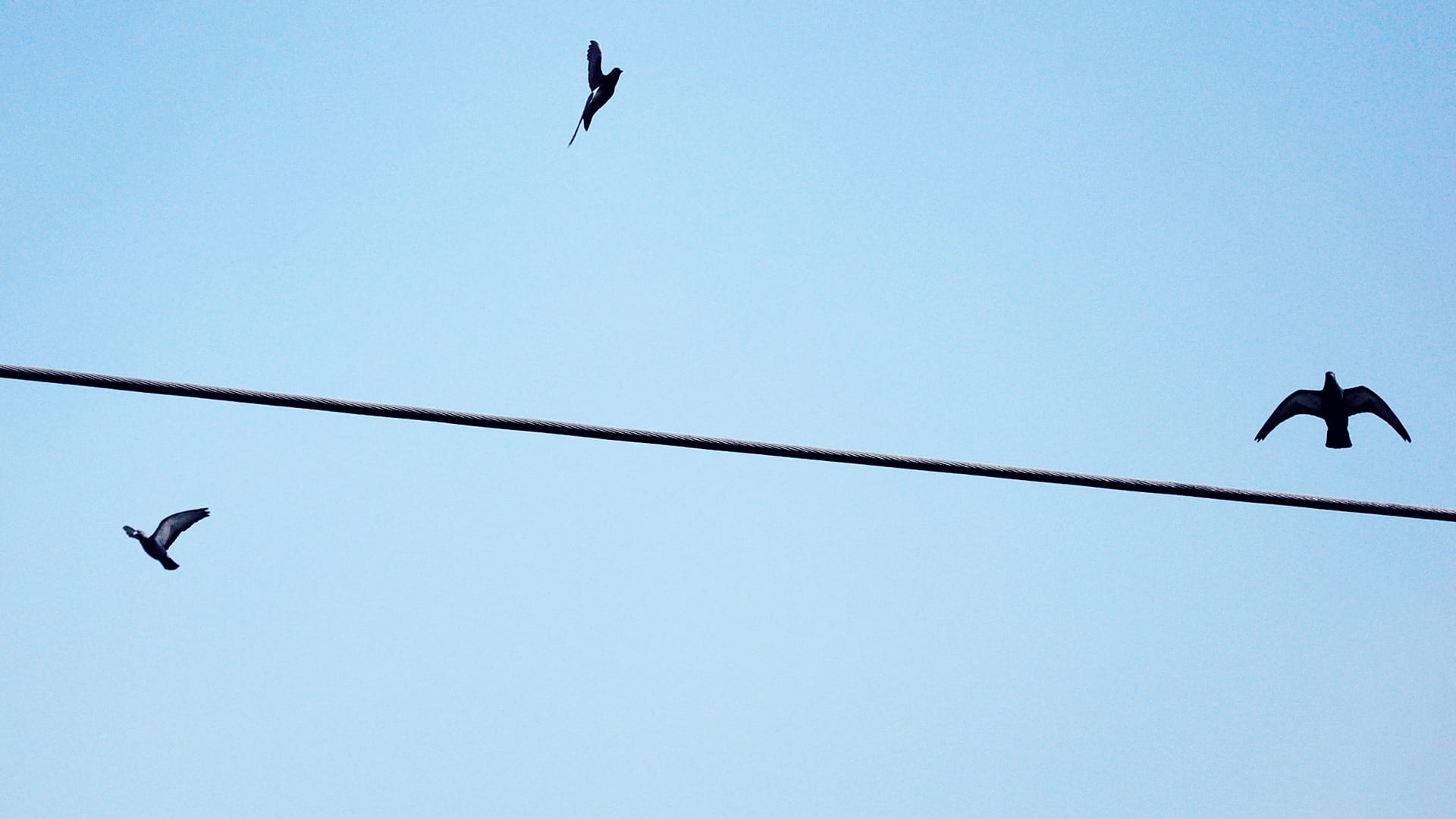 Dear Josh: Should Creative Teams Seek Consensus At All Costs? - Fast ...