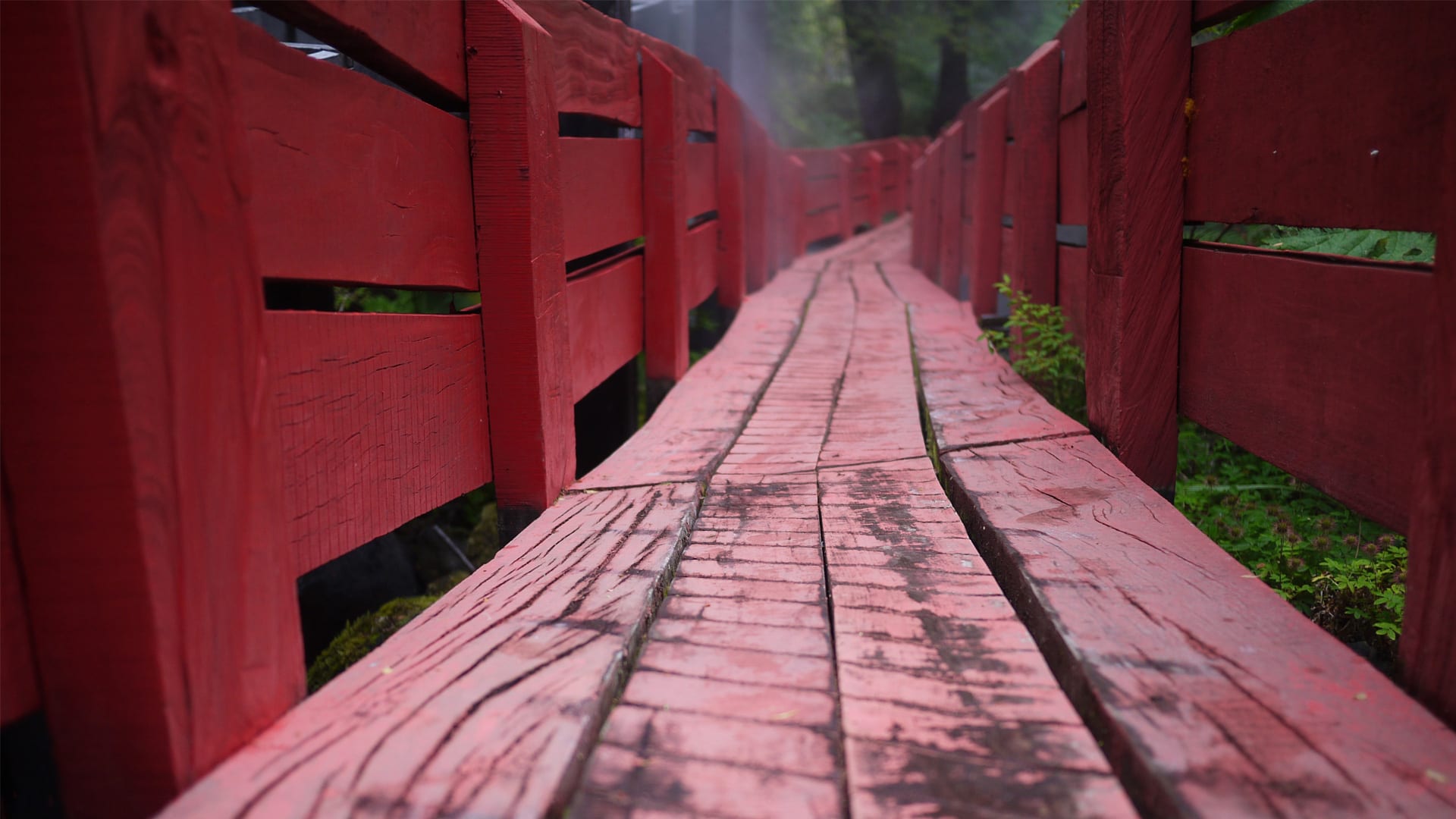 How To Navigate The Tricky But Rewarding Path To Starting A Nonprofit ...