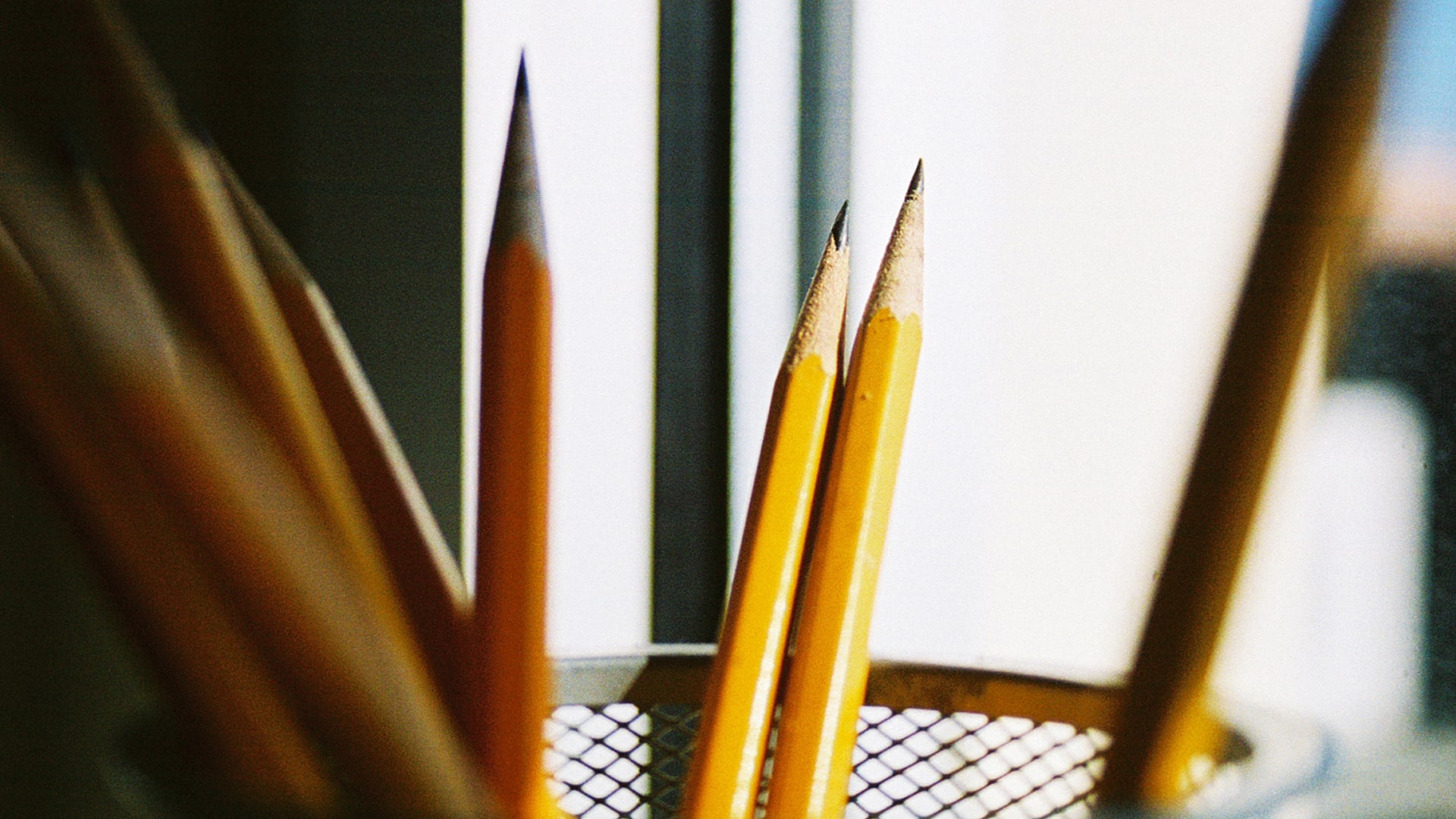 Can Susan Orlean Teach You To Write Like Susan Orlean? - Fast Company