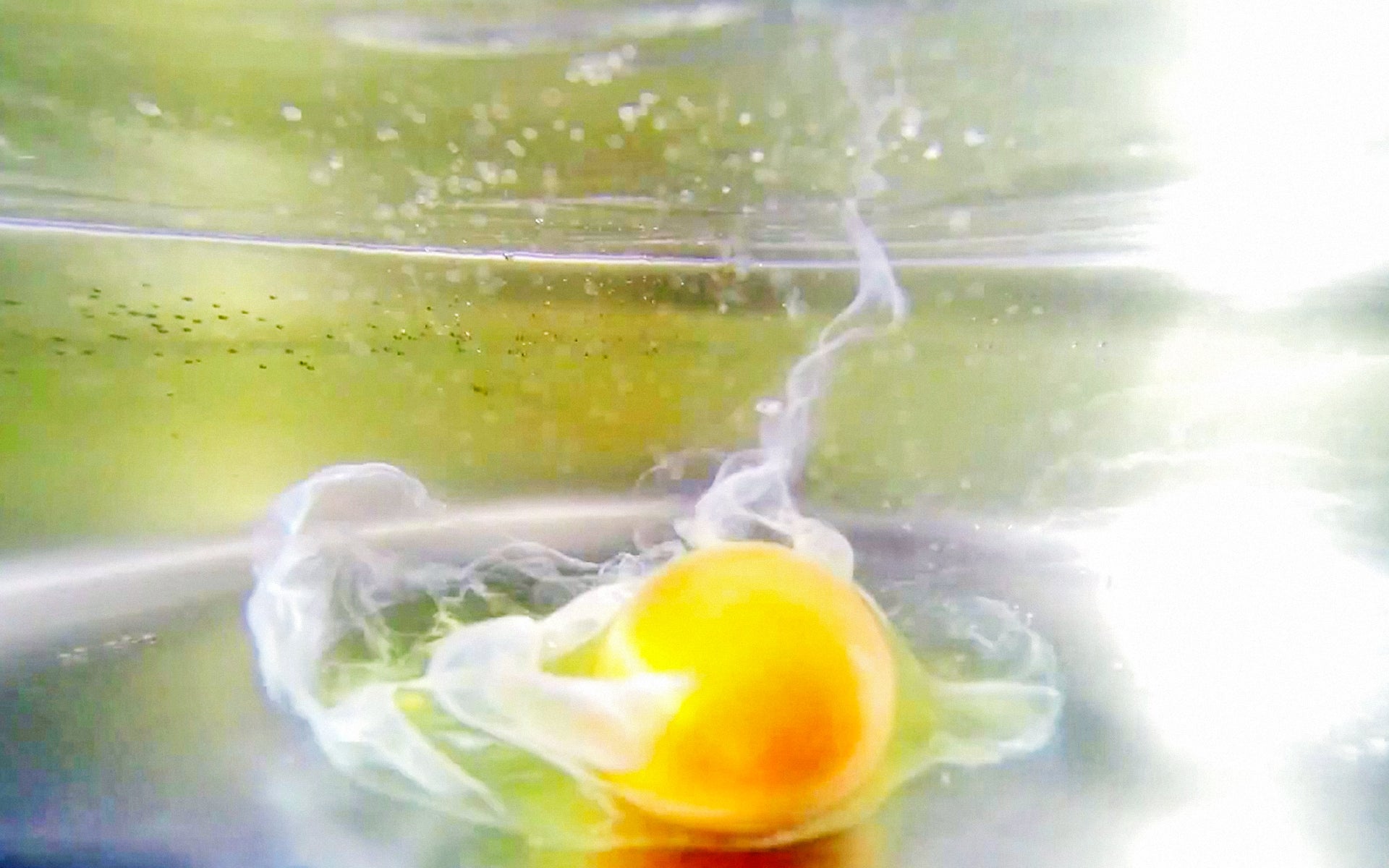 Want An Up-Close View Of An Egg Being Poached? This GoPro Strapped Into ...