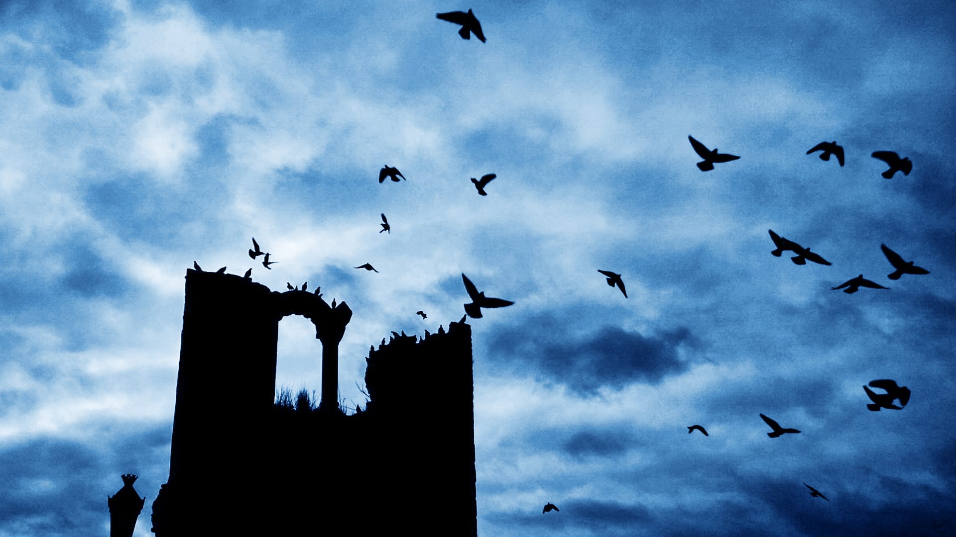 Why Does Twitter Feel So Angry? - Fast Company