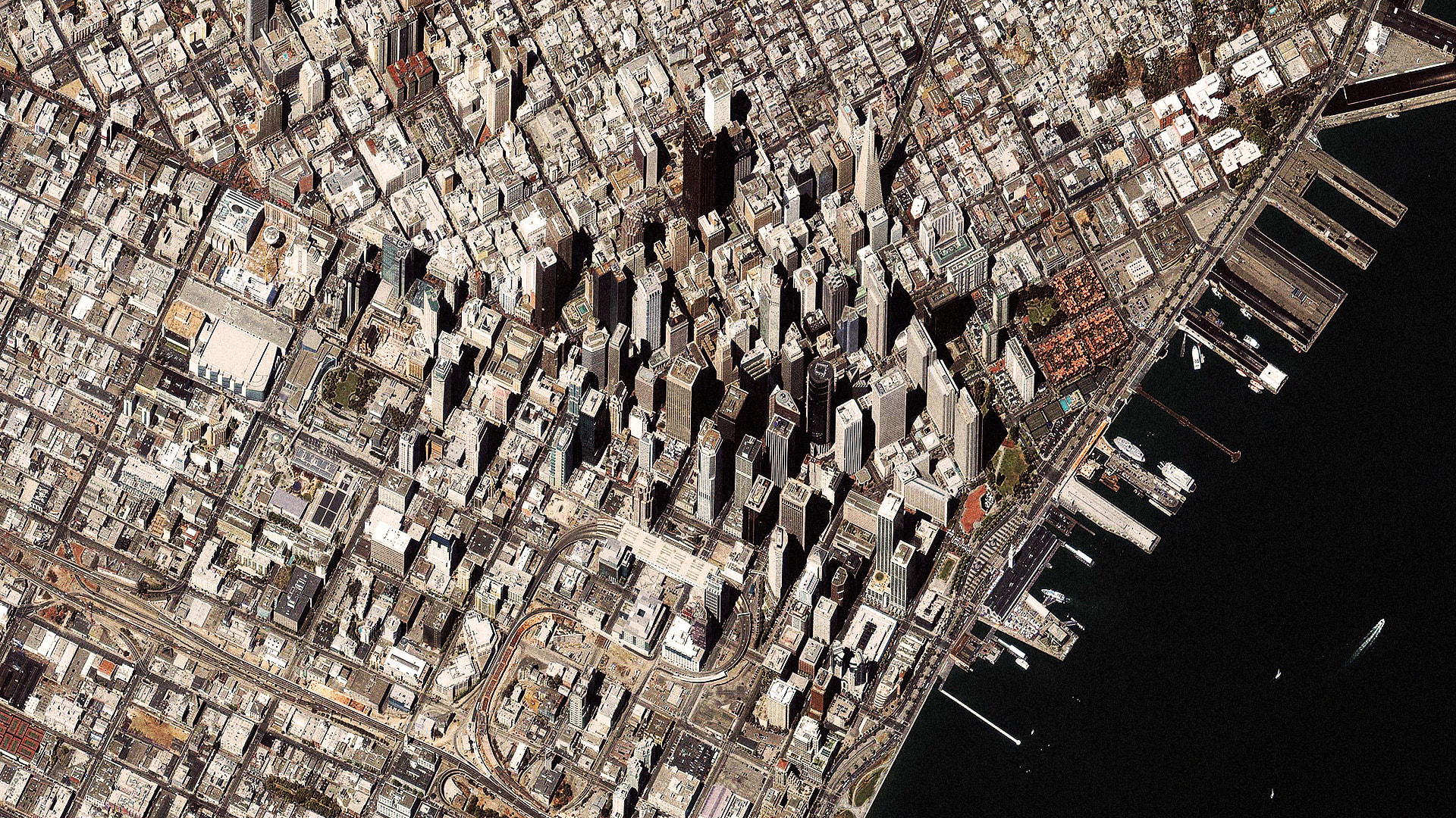 How A City Changes The Evolution Of All The Nature Around It - Fast Company