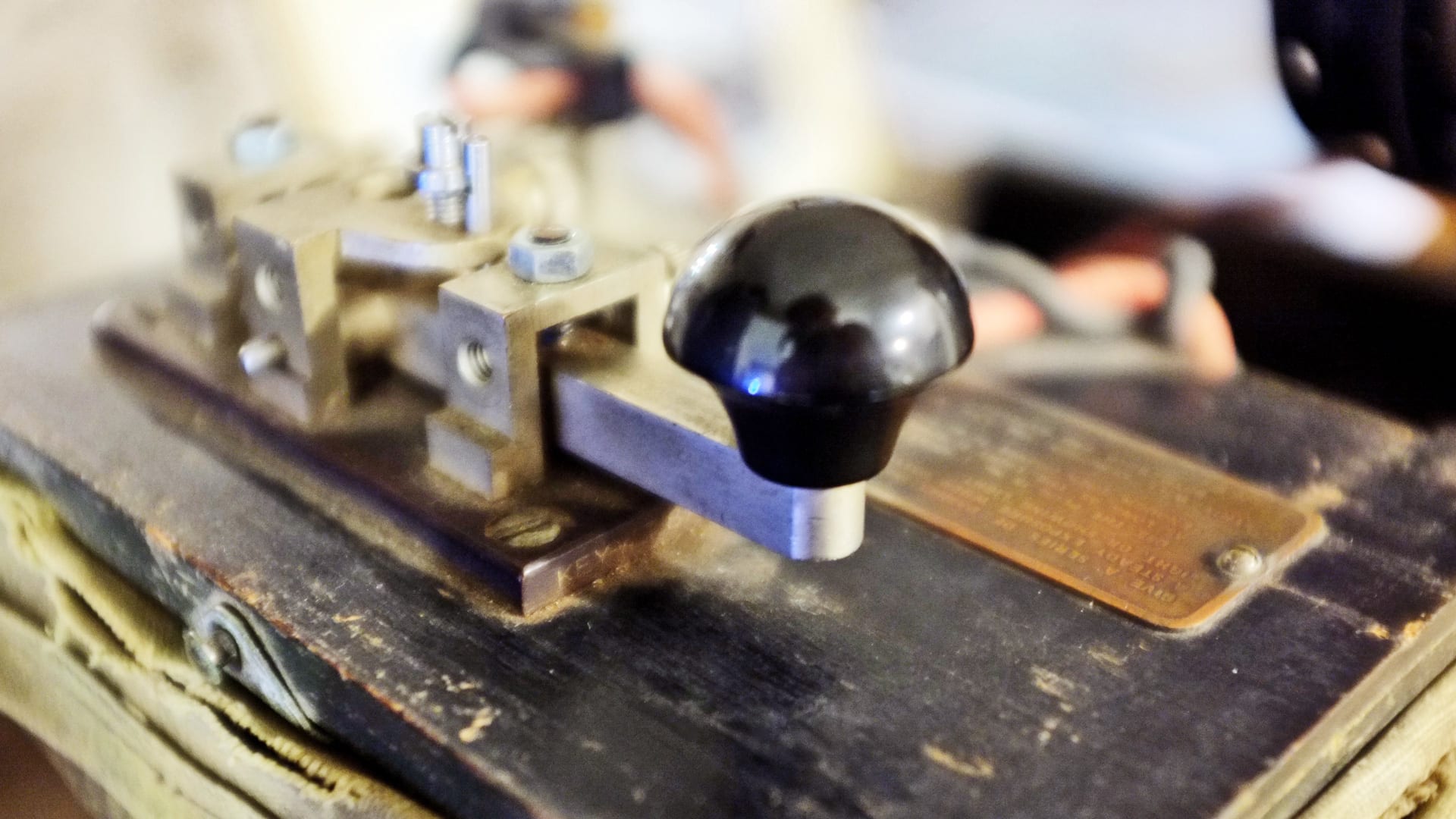 The Recommender: Alice Truong, Who Wishes The Telegraph Would Make A ...