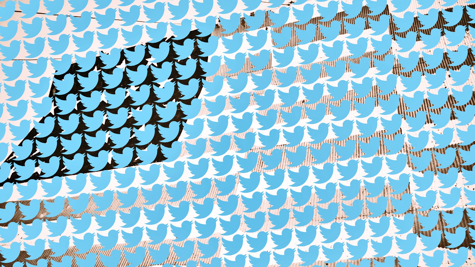 Twitter Sues The U.S. Government Over Information Requests - Fast Company