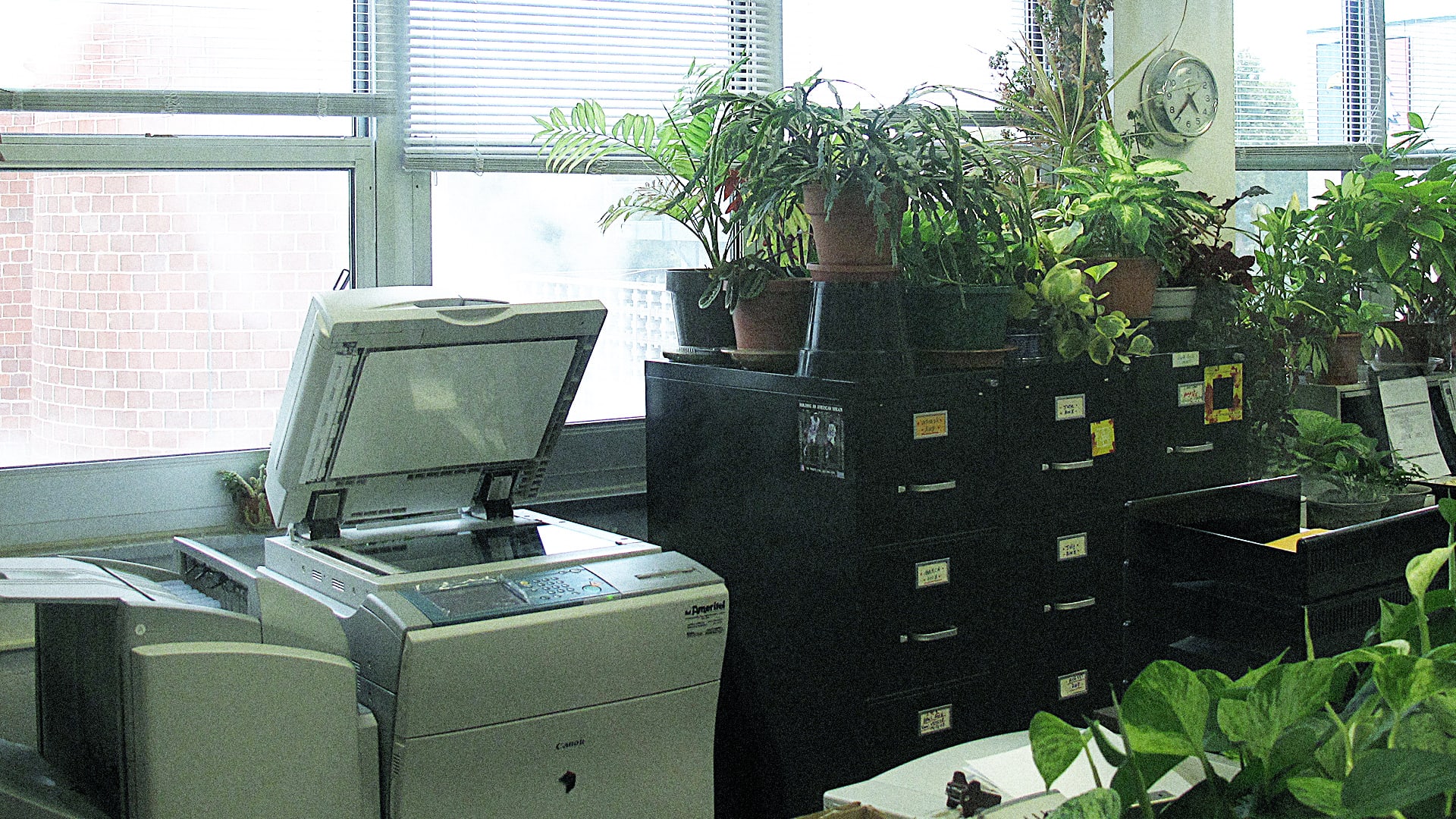 5 Ways Green Office Design Also Makes Workers Happier And More ...