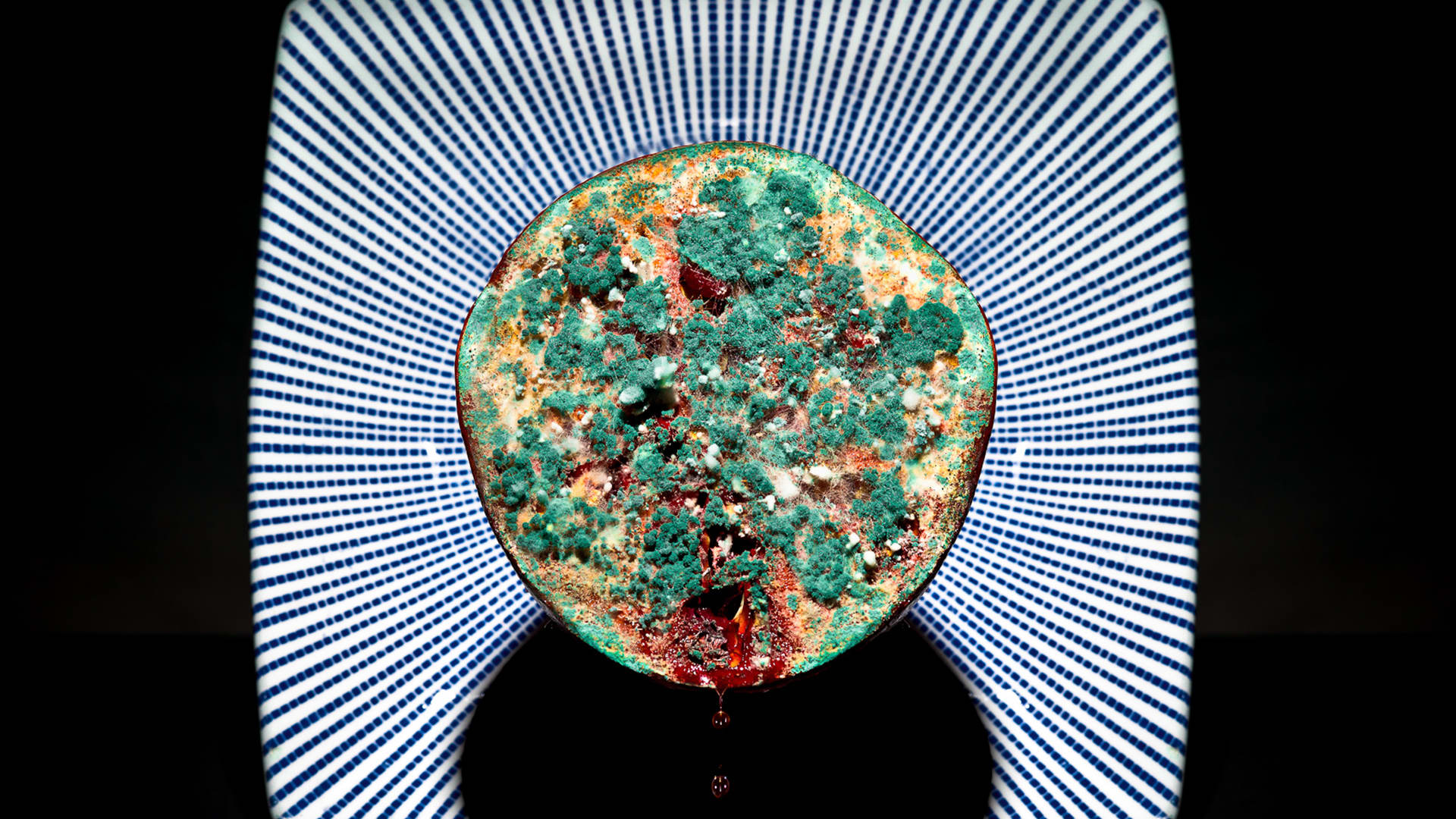 These Sickeningly Beautiful Photos Of Rotting Food Remind You How Much ...