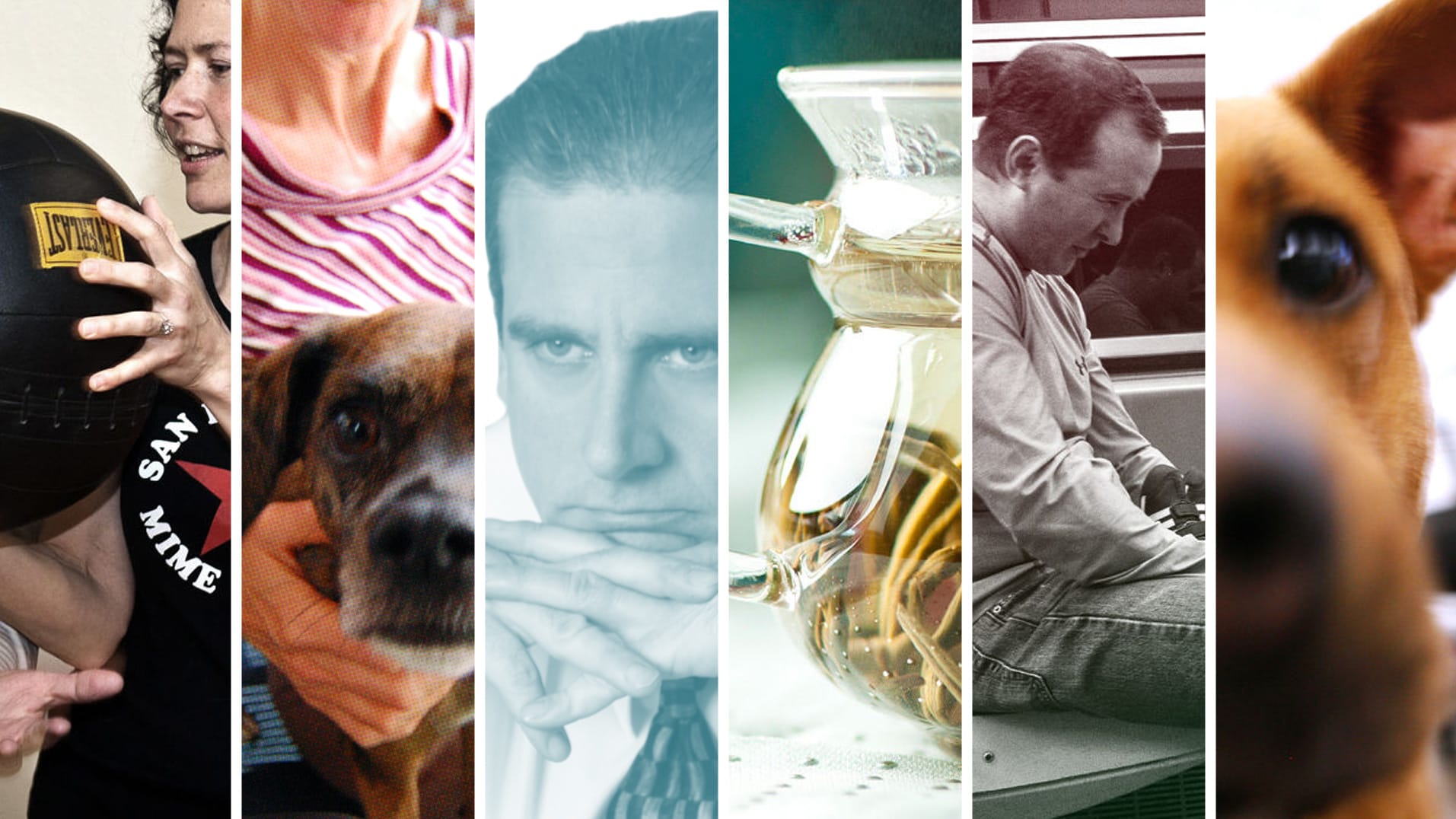 Gender Equality, Getting What You Want, And Office Dogs: This Week's ...