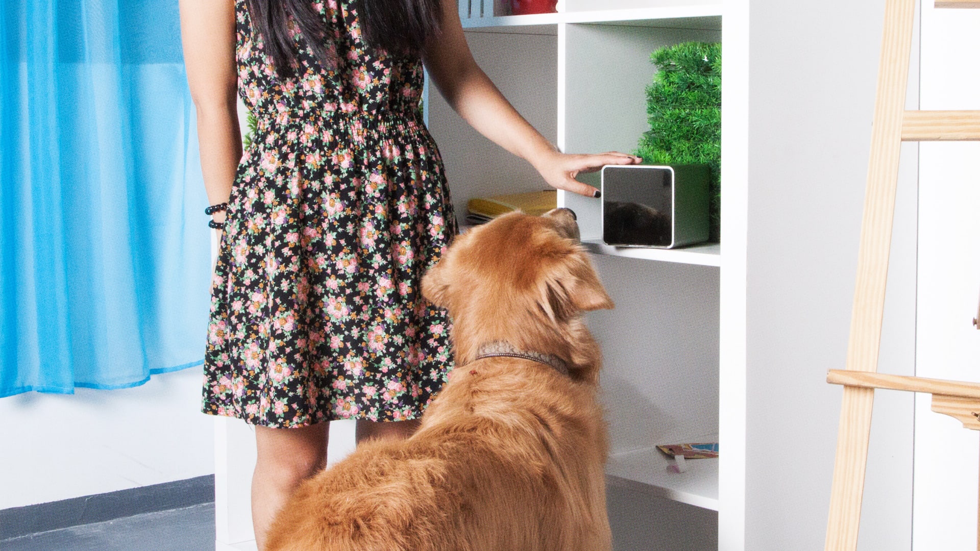 5 Smart Gadgets That Will Transform The Life Of Any Pet Owner - Fast ...