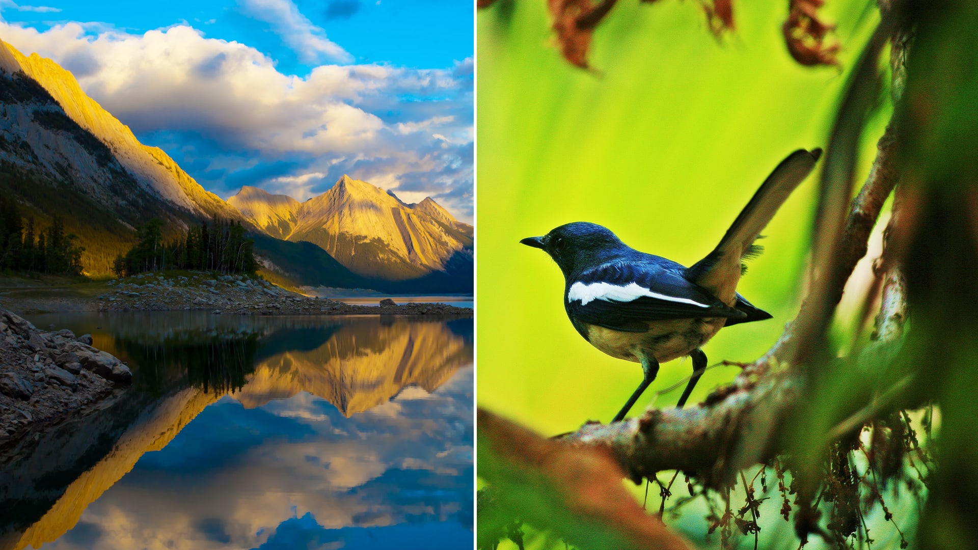 How Flickr Is Learning To See What's In Your Photos - Fast Company