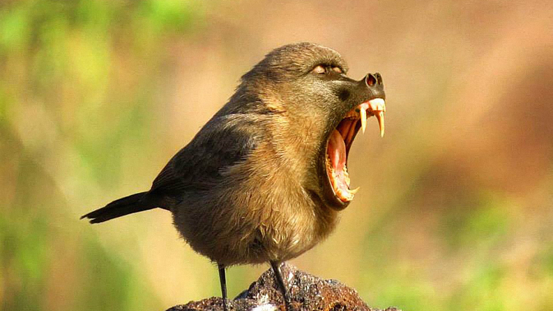 Evolution Meets Photoshop In These 19 Terrifyingly Adorable New Animal ...