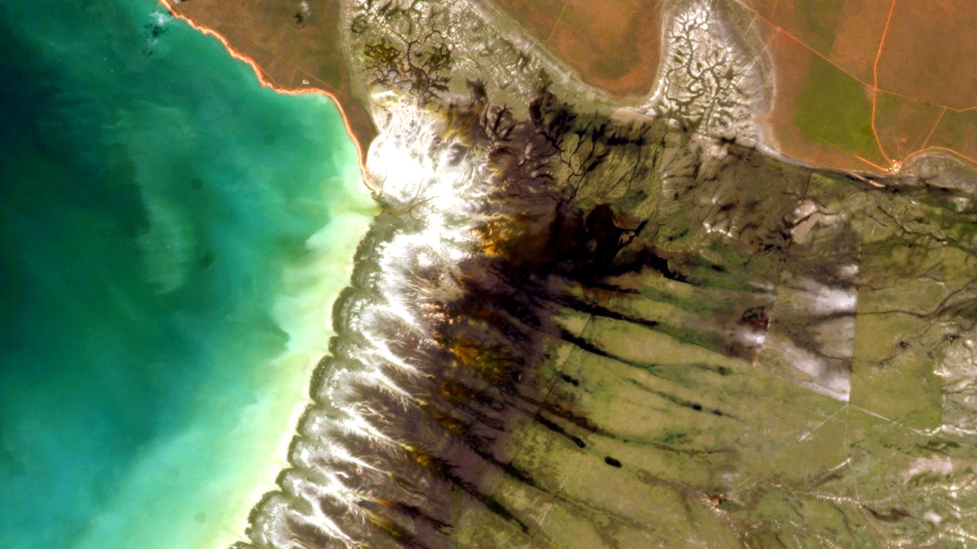 Lessons In Combining Art And Science (And Taking Amazing Photos) From ...