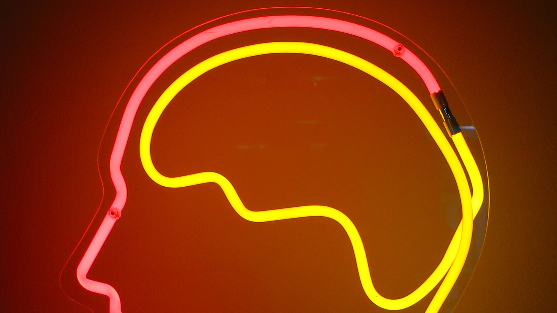 Enjoy Those Games, But DIY Brain Training Won’t Make Your Brain Feel ...