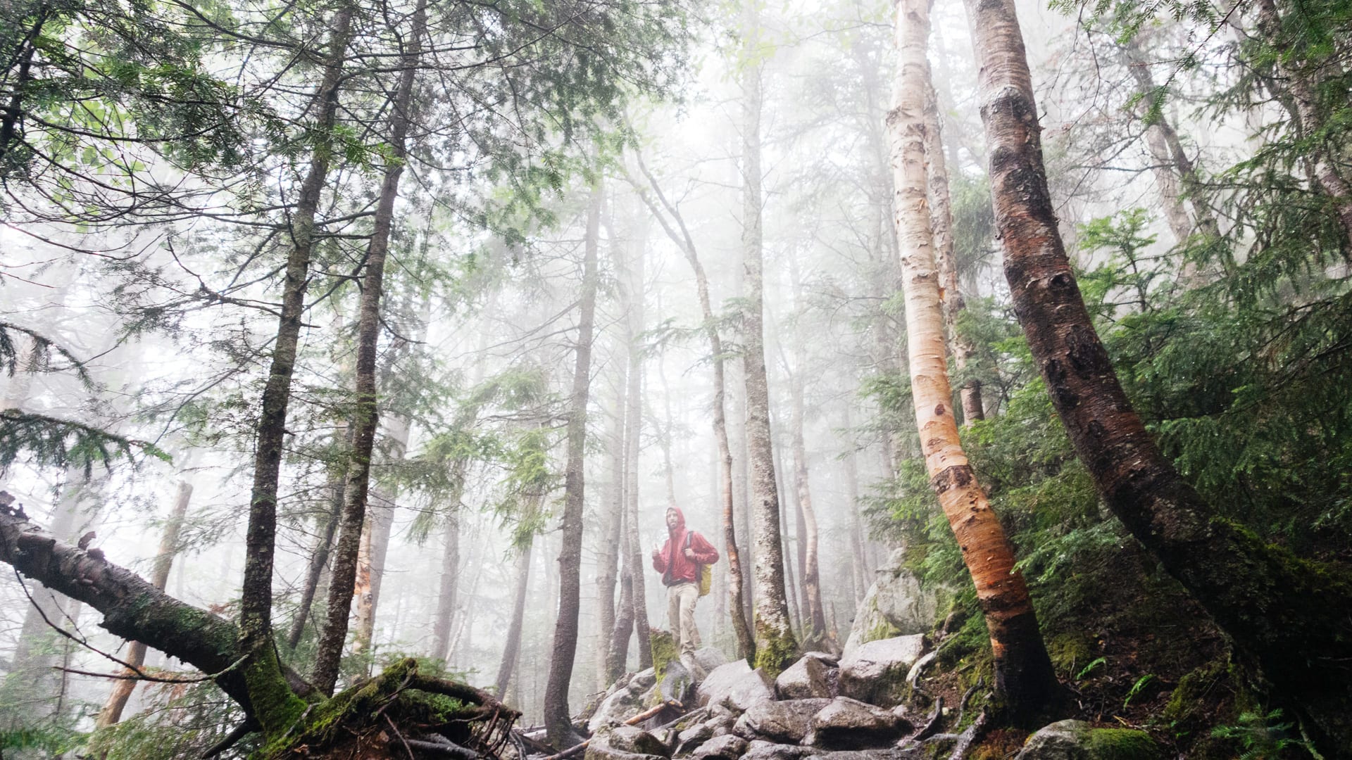 9 Creative Ways To Shake Yourself Out Of A Career Rut - Fast Company