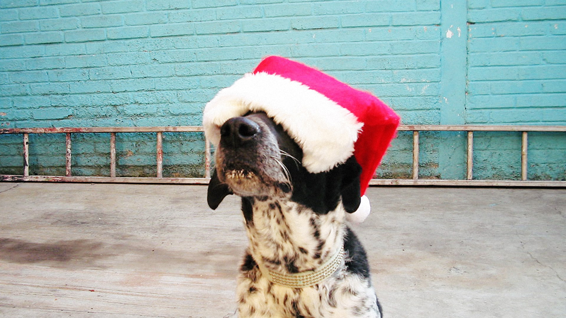 This Just In: Tomorrow Is Christmas - Fast Company