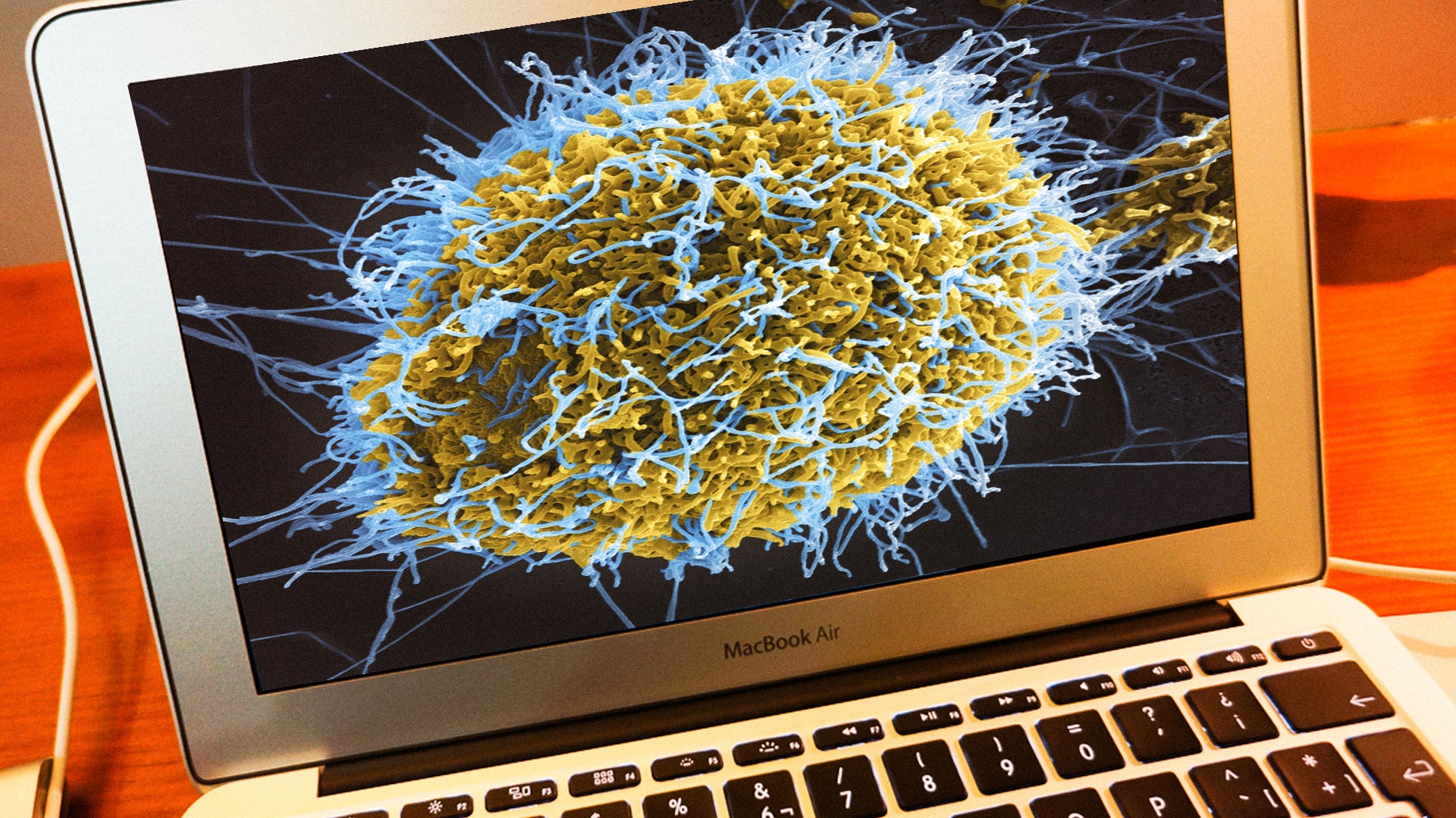 The Global Supercomputing War On Ebola Starts With Your Laptop - Fast ...