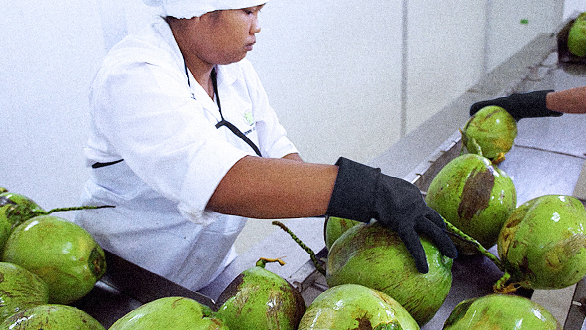 Can This Startup Help Lead The Booming Coconut Water Industry To ...
