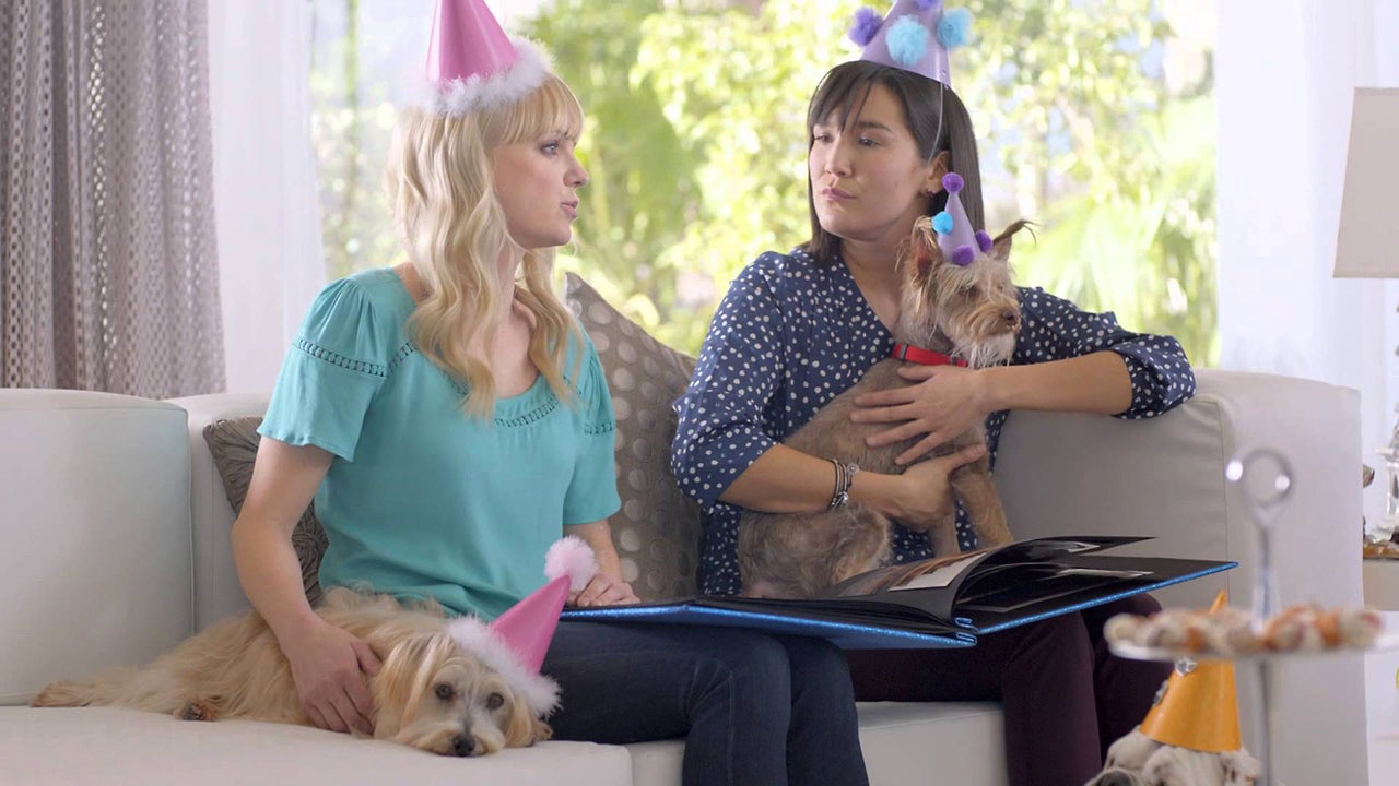 PetSmart Goes Weird With Christopher Guest On The Quirks Of Pet ...