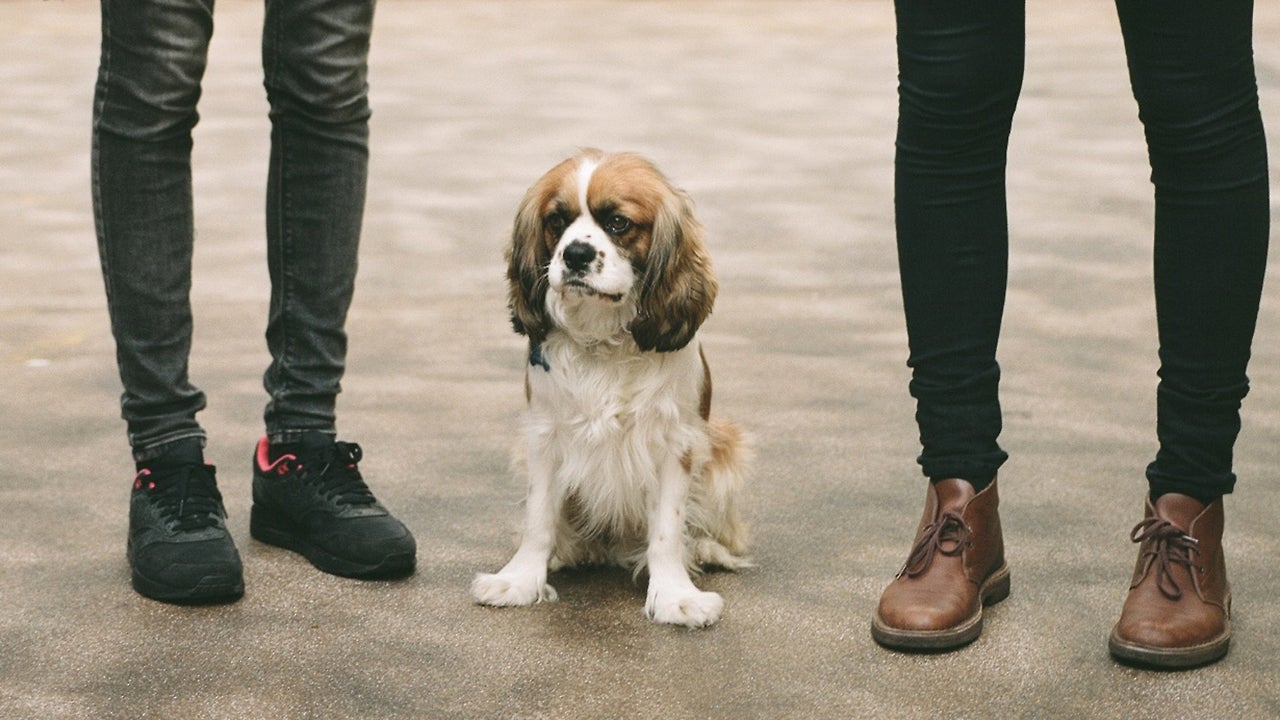 "In Dogs We Trust" Captures The Human-Canine Bond In Photos - Fast Company