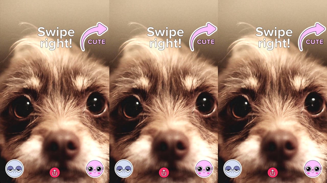 BuzzFeed's Silly New Animals App Is Very Smart Business - Fast Company