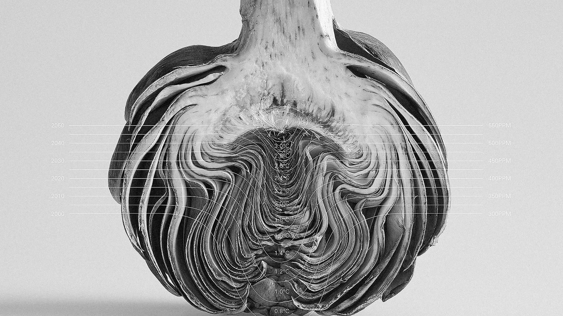 9 Beautiful Illustrations Explain The Coming Food Crisis - Fast Company