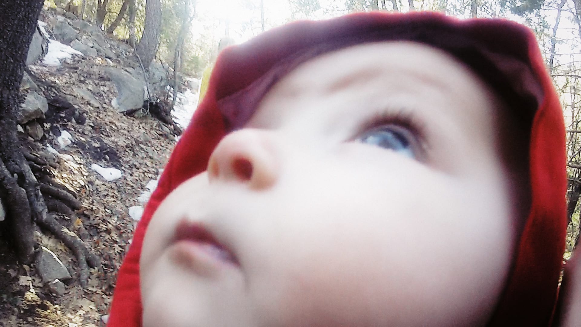 "Interstellar"-Themed Time Capsule Captures A Crowdsourced Picture Of ...