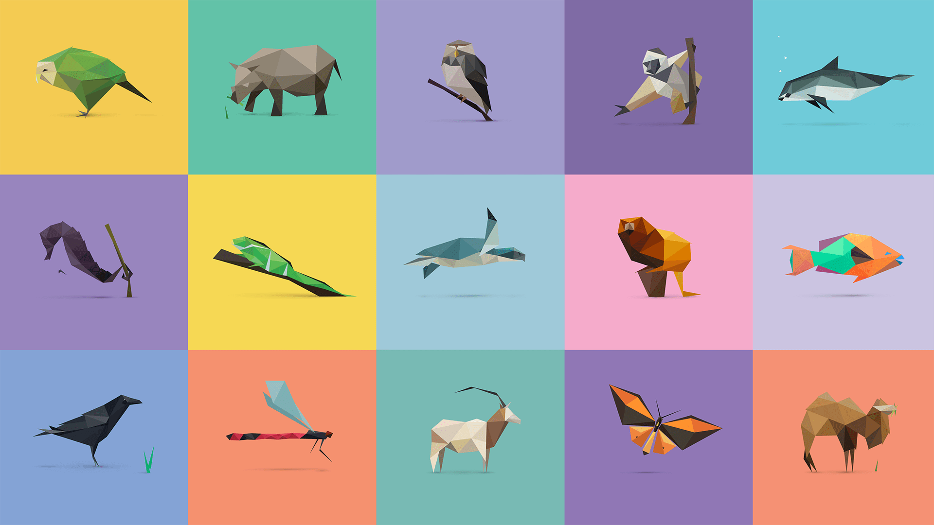 These Mesmerizing Animations Tell The Story Of 30 Endangered Species ...
