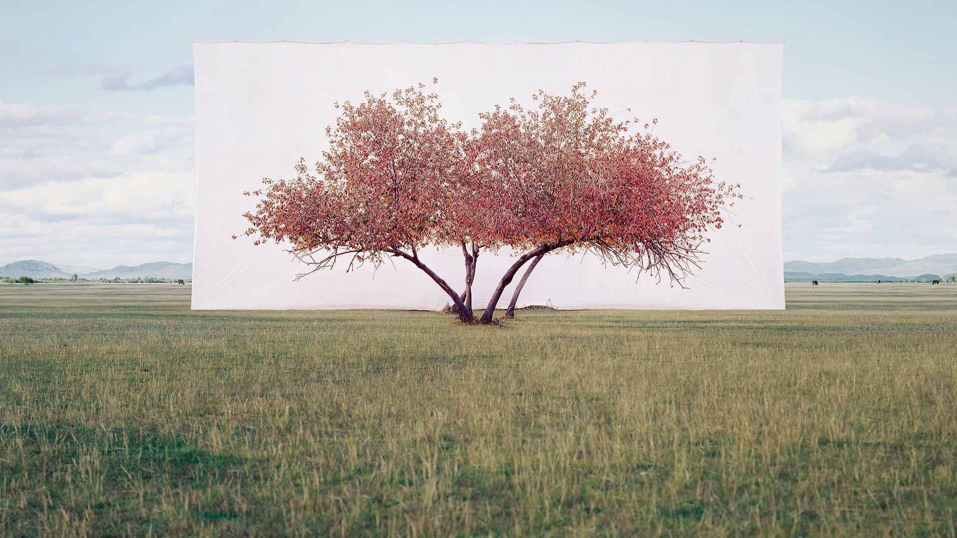Unexpected Art Makes City Dwellers Reassess Familiar Urban Spaces ...
