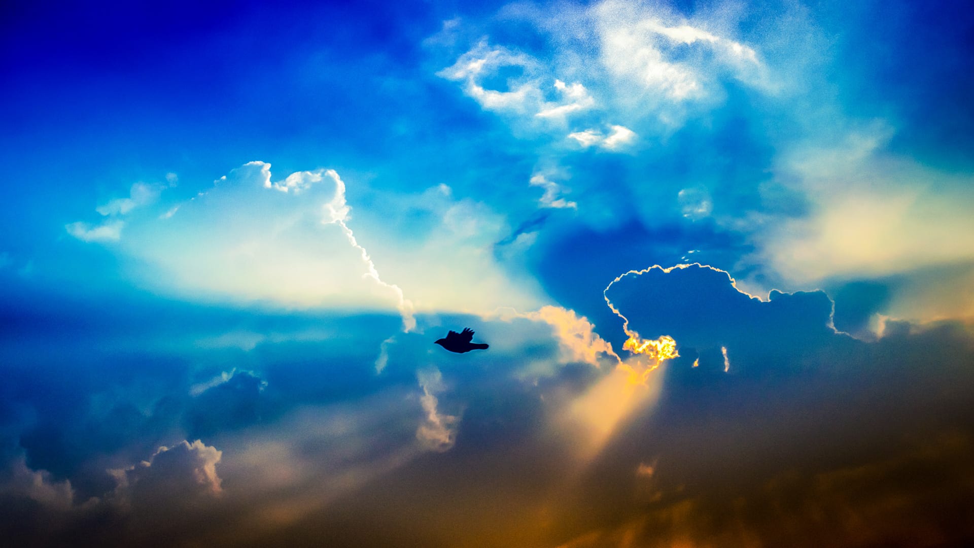 The Science Behind The Secret Productive Powers Of The Color Blue ...