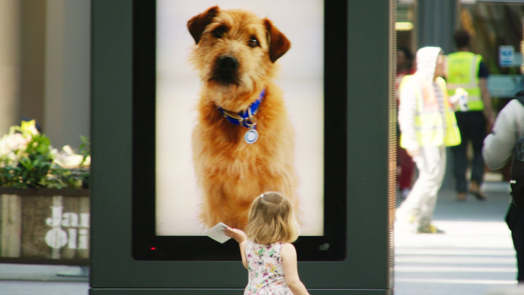 An Adorable Homeless Dog Follows People Around, Via A New Interactive ...