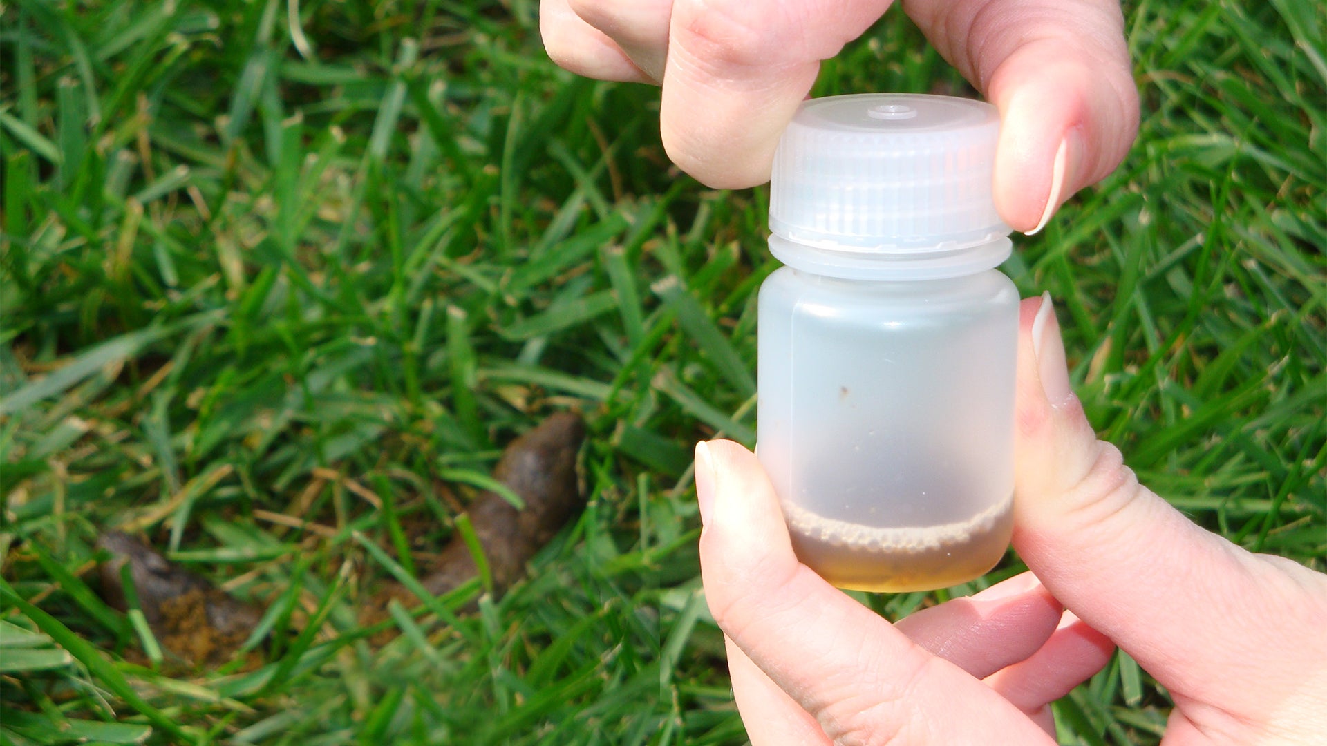 Irresponsible Dog Owners Beware: Your Dog's Poop Is Now Subject To DNA ...