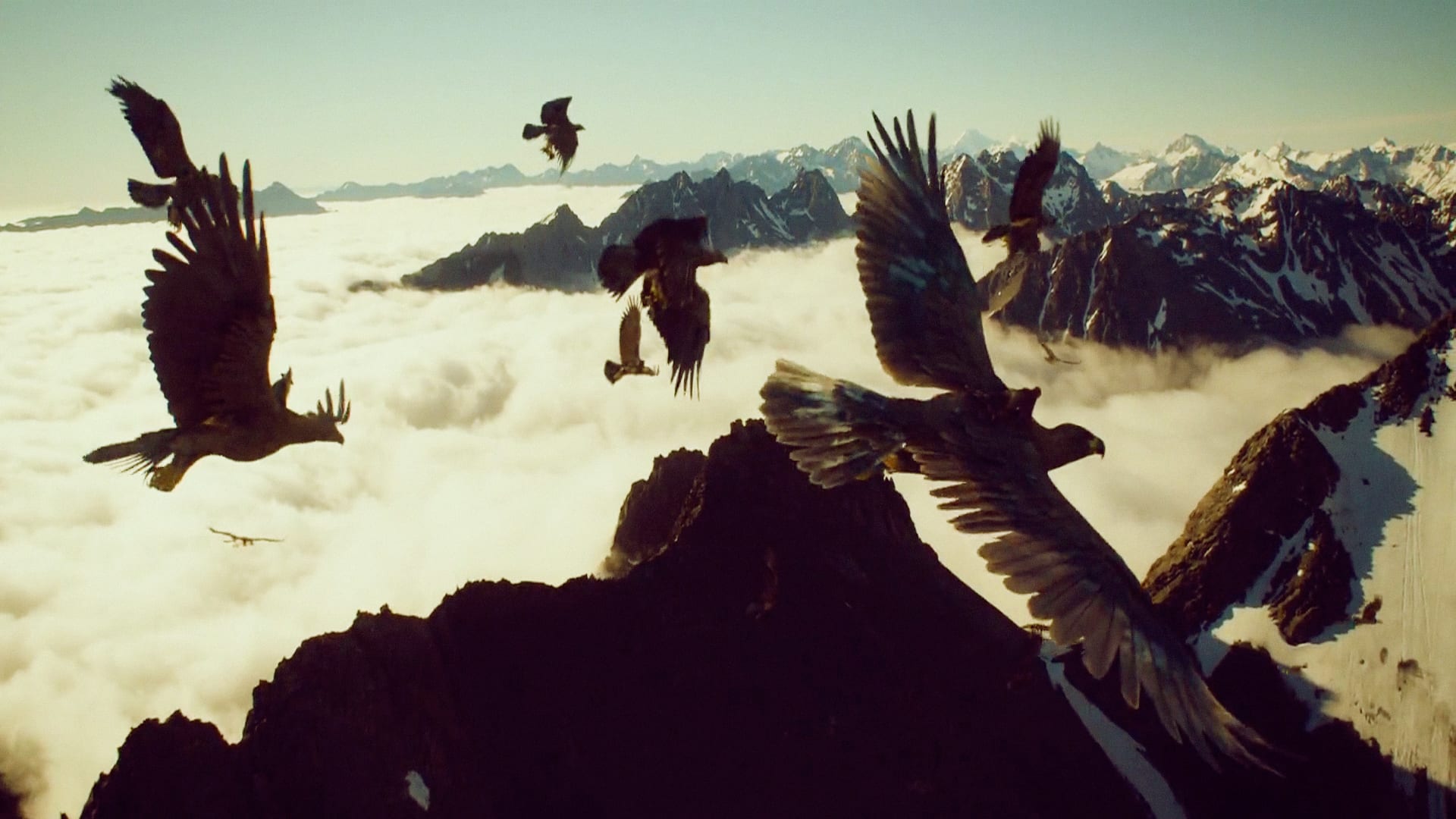 Everything You Need To Know To Start Writing a Killer Screenplay In One ...