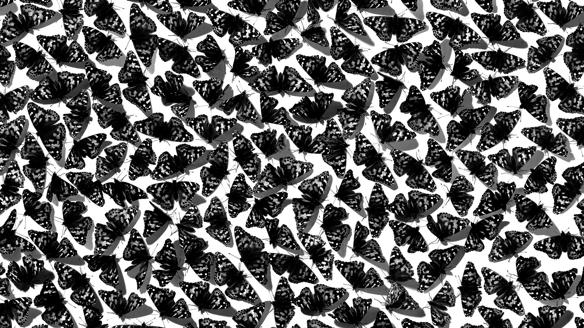 10 Years Of Incredible Photographs, From Parsons Alumni - Fast Company