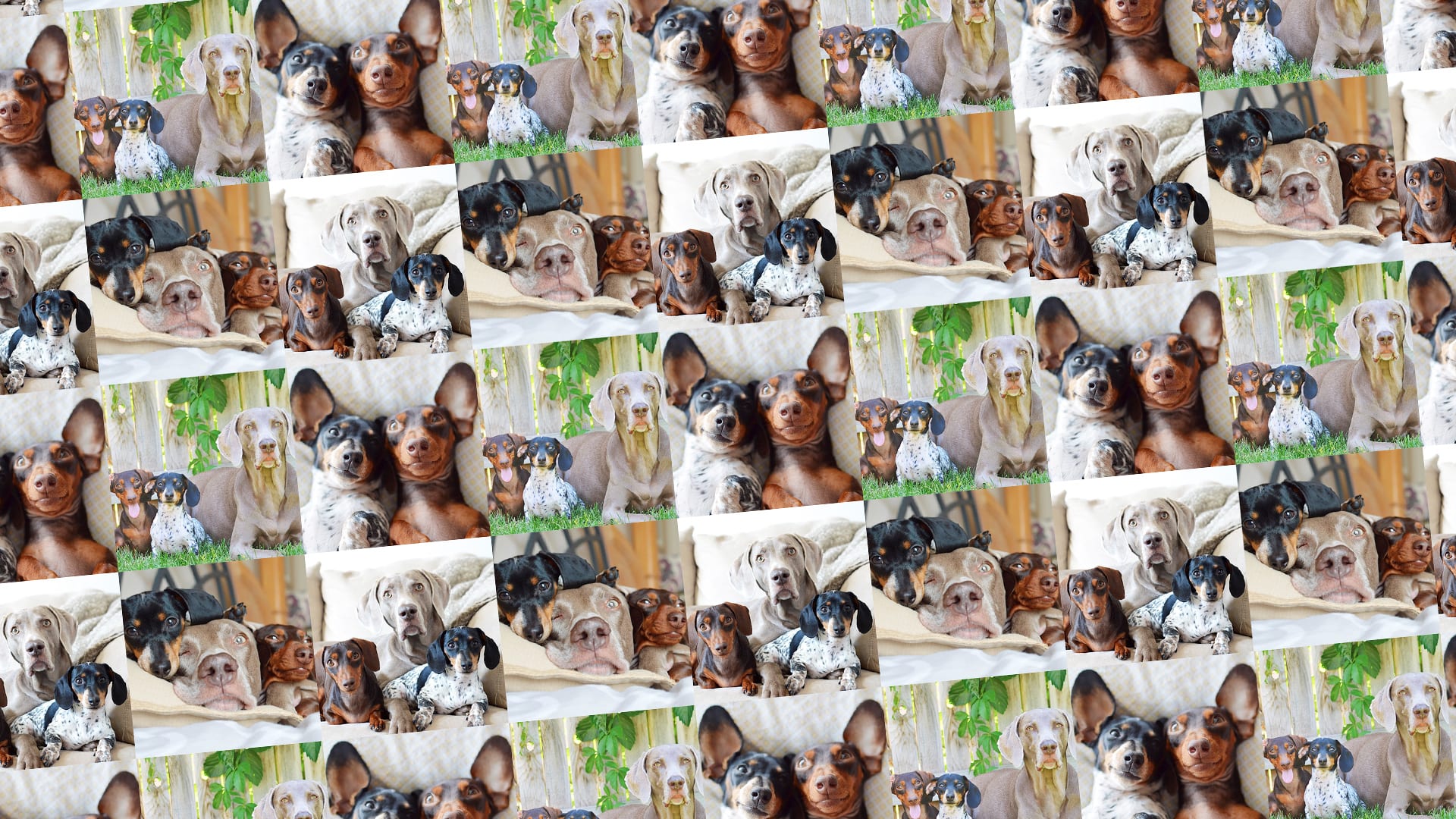 The Recommender: Kim Lightbody, Who Was Once On The Front Page Of The ...