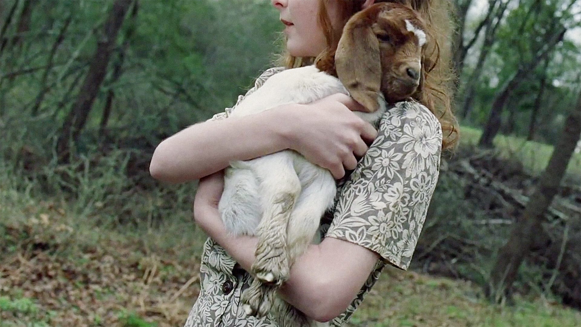 These 10 Movies Just May Be The Most Beautiful Ever - Fast Company