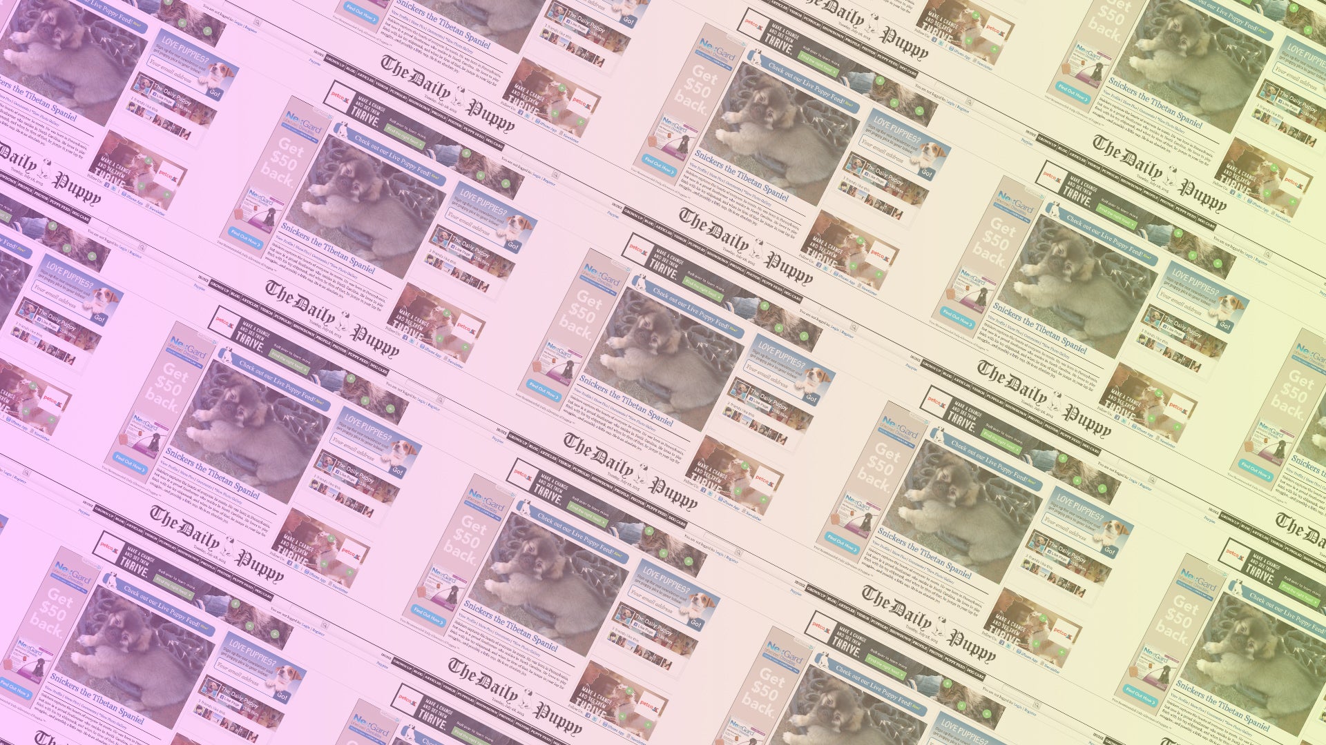 Staff Recommender: Erica Boeke, Who Was Once *This Close* To The Big ...