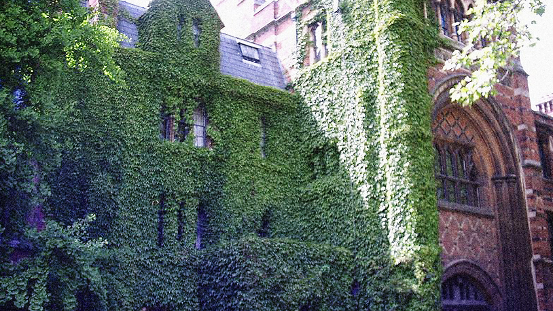 The Highest Earners Didn't Go To Fancy Colleges - Fast Company