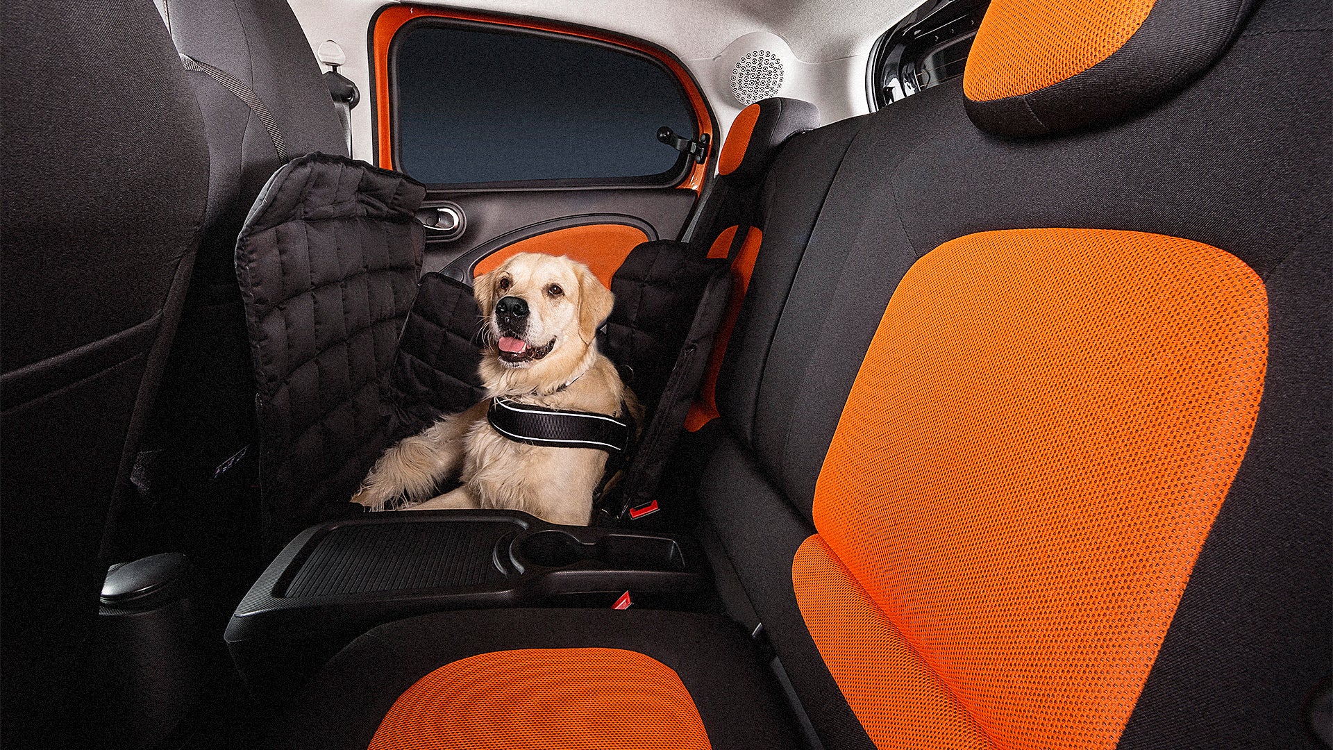 Hack Your Tiny Smart Car To Find A Hidden Secret: A Dog Carrier - Fast ...