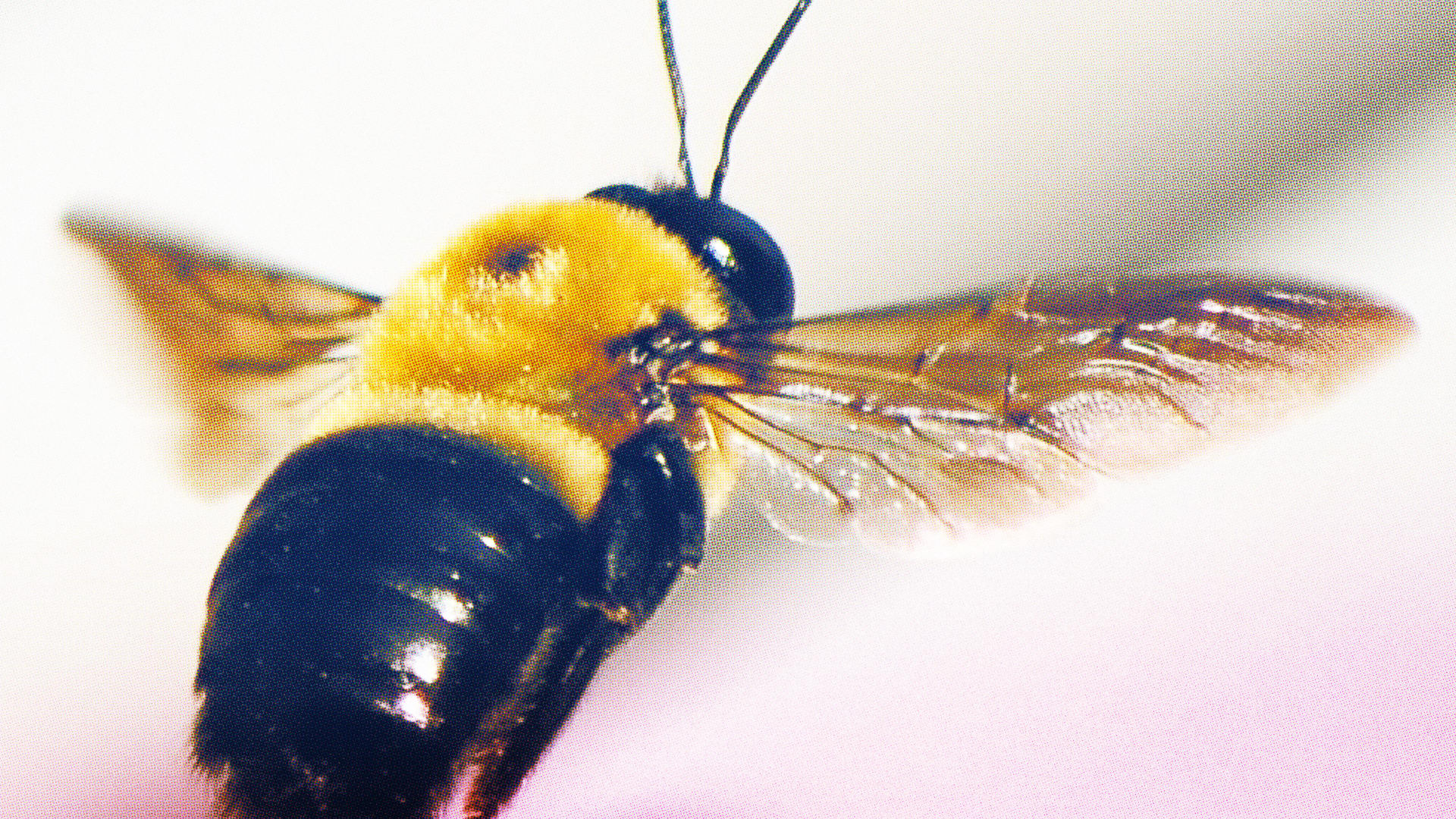 Here's How Many Gigs Are In The Gig Economy - Fast Company